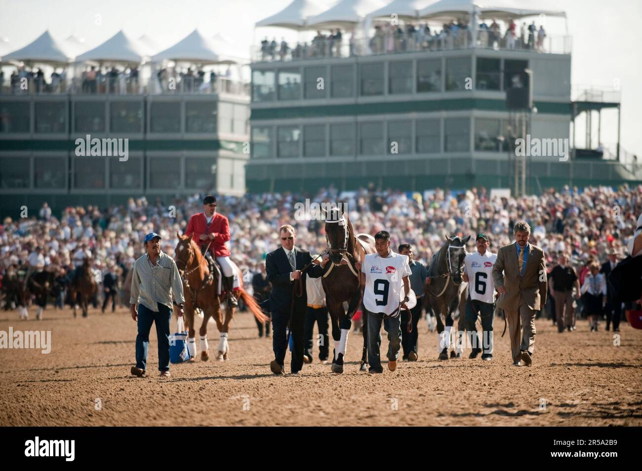 Horse race contenders walk toward the paddock during the pre-race ...