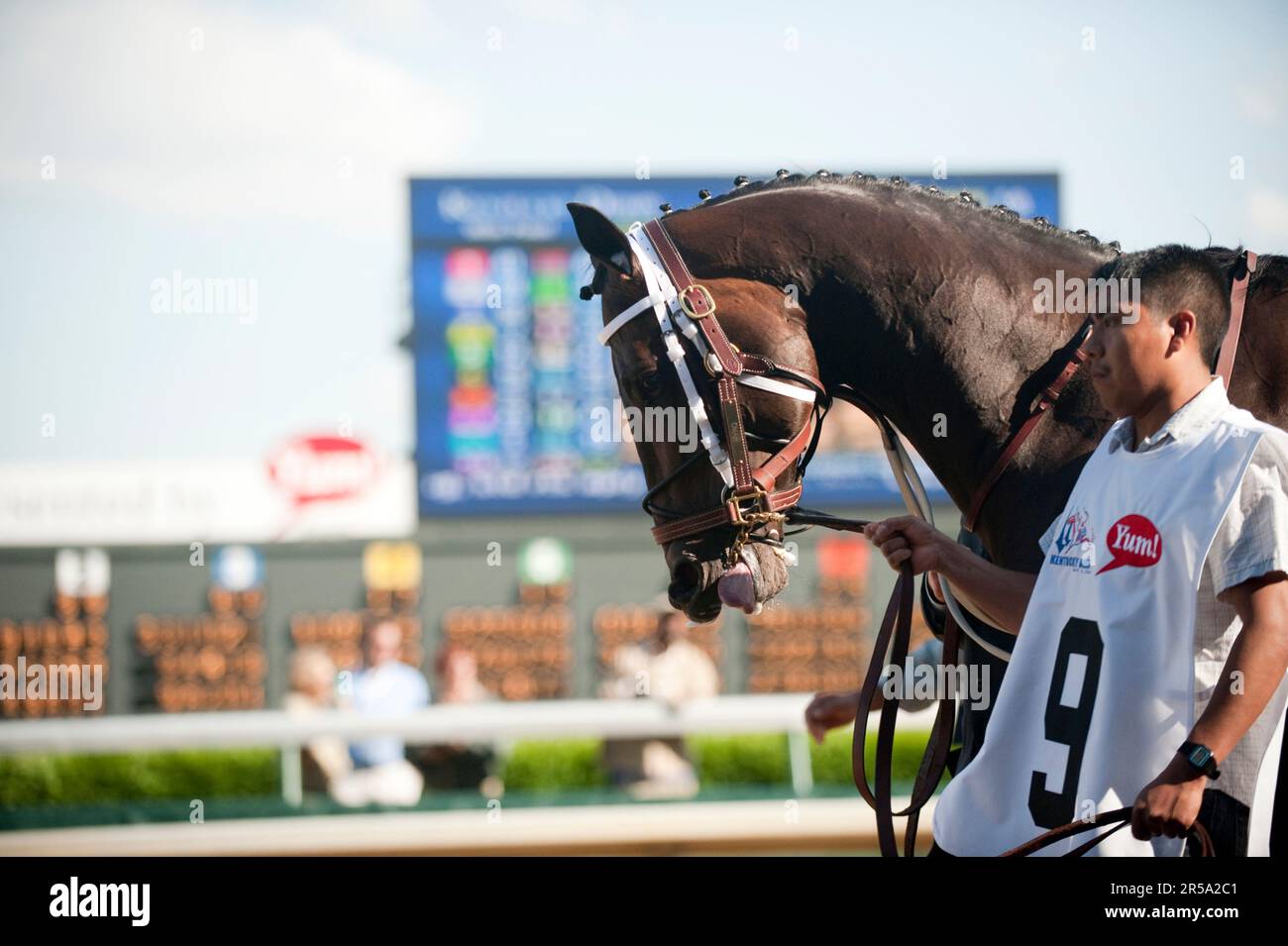 One leading contenders hi-res stock photography and images - Alamy