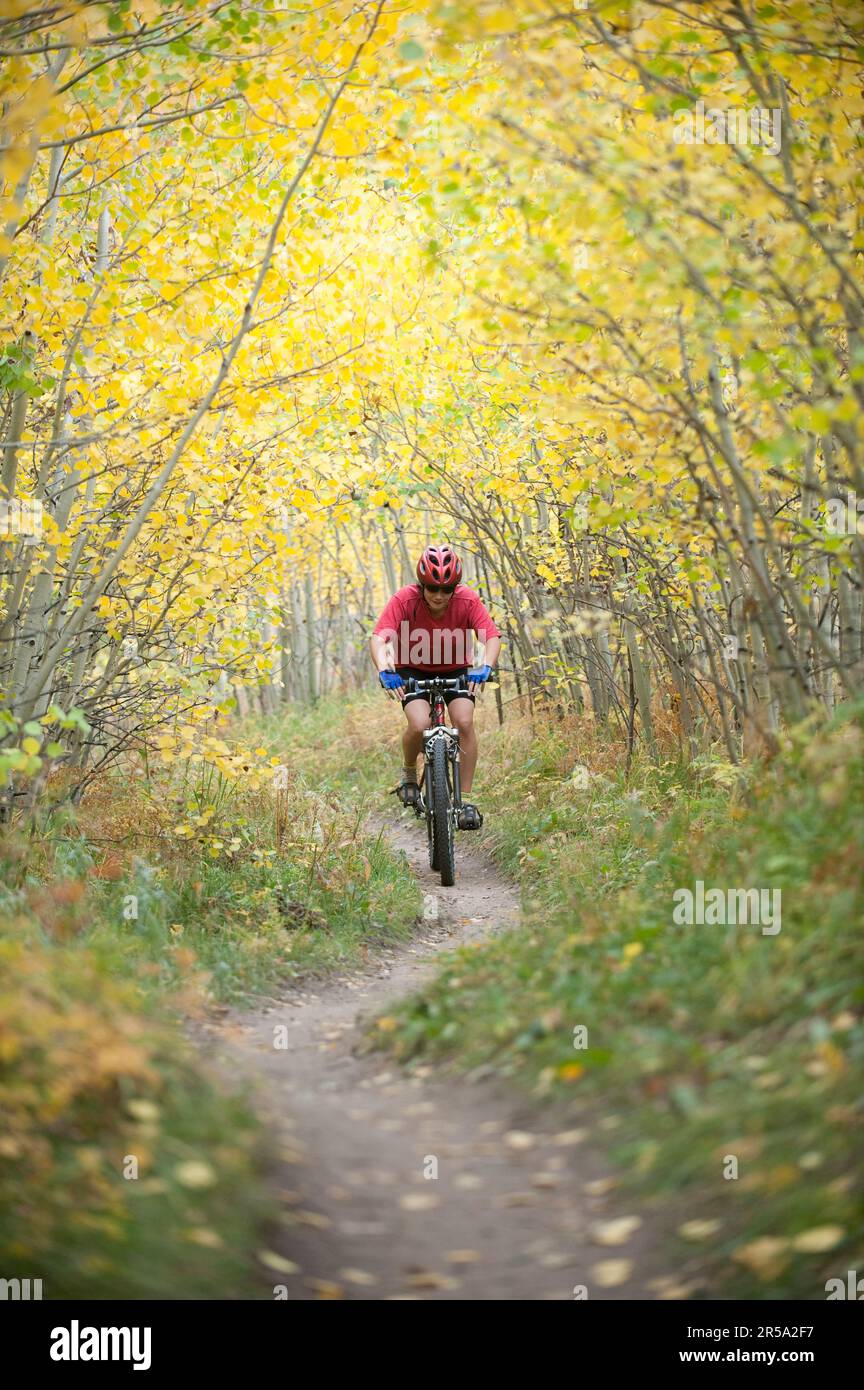 Singletrack road hi-res stock photography and images - Alamy