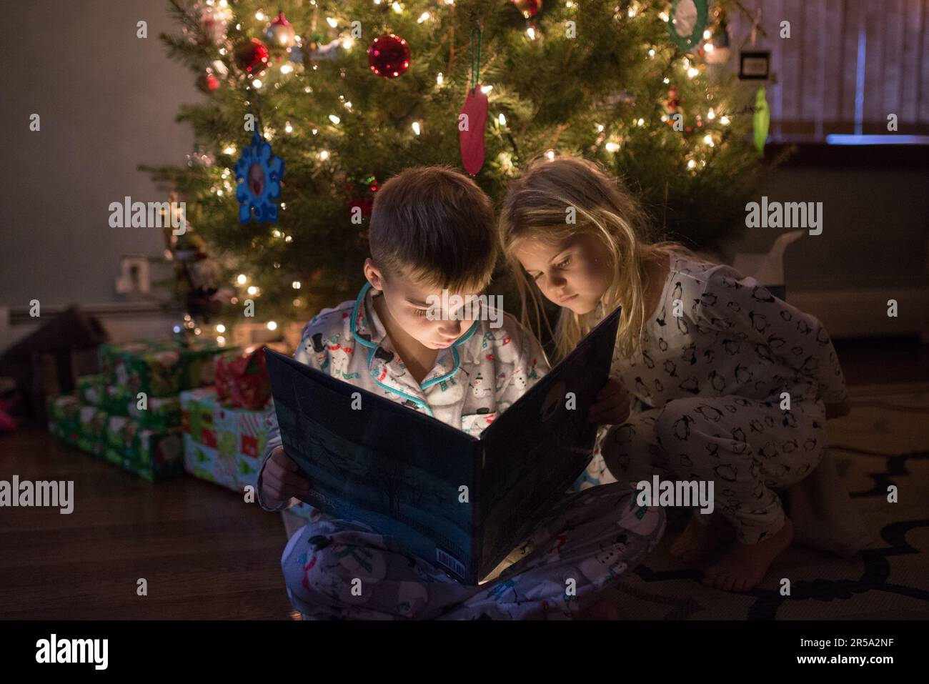 Boy reading book in tree hi-res stock photography and images - Alamy