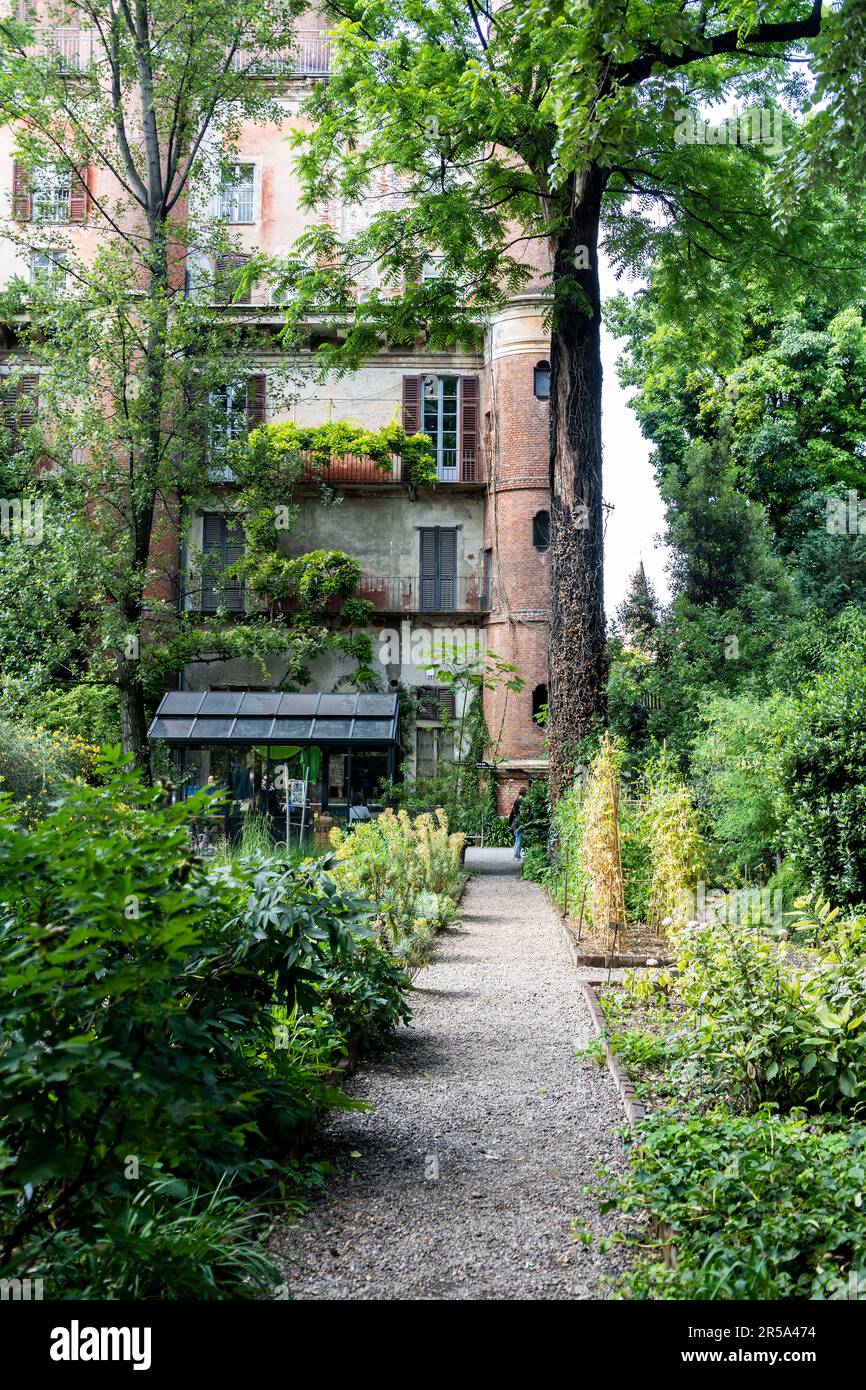 Plants and trees in the Botanical garden of Brera (in Italian "Orto ...