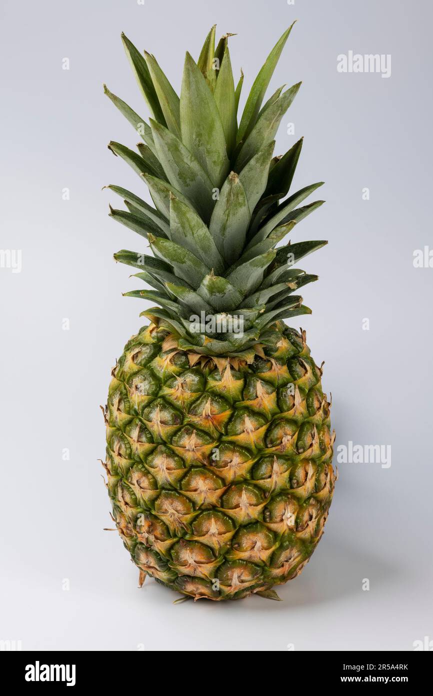 whole pineapple fruit against white background Stock Photo - Alamy