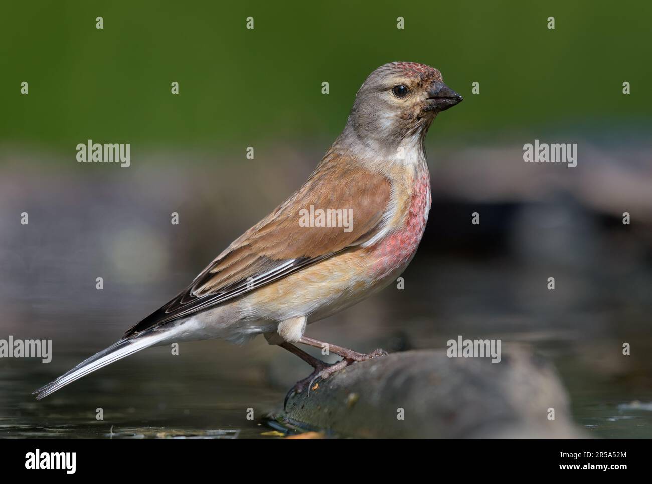 Moment male hi-res stock photography and images - Alamy