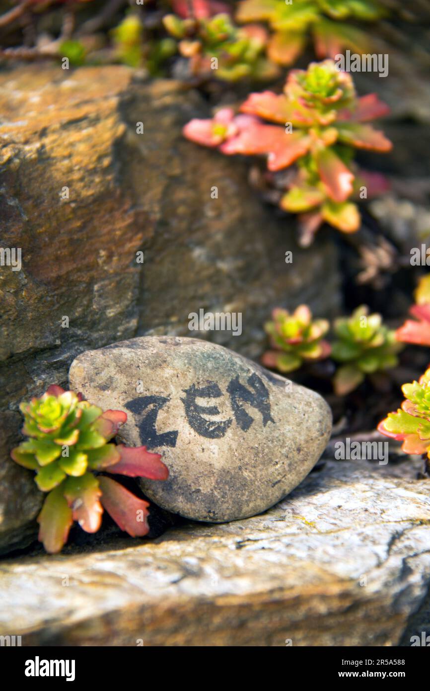Pebble plant label hi-res stock photography and images - Alamy