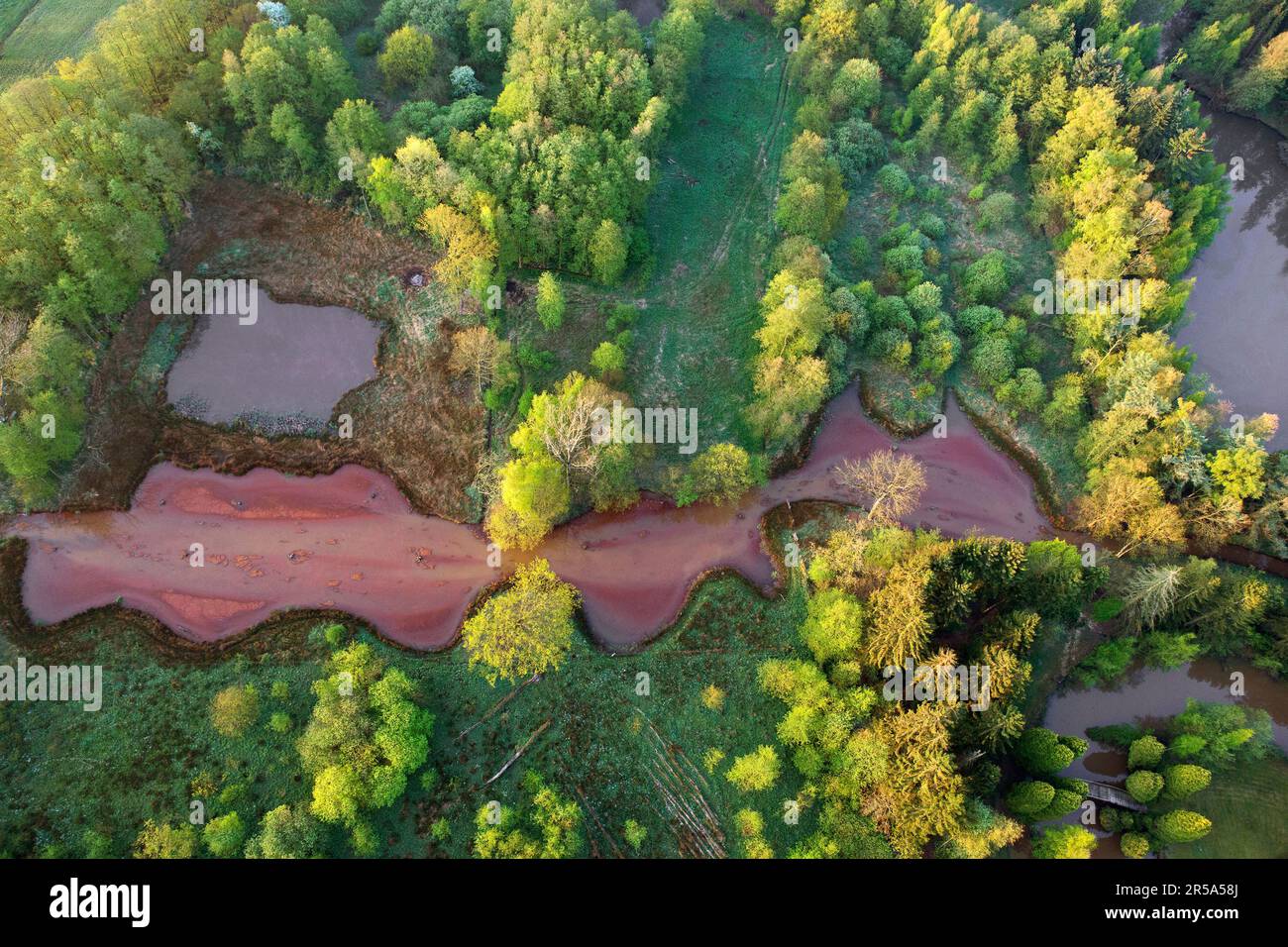 aerial view of wetland area Vallei van de Grote Nete, Belgium ...