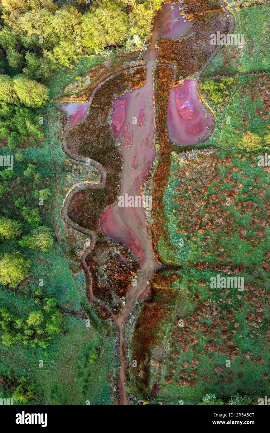 aerial view of wetland area Vallei van de Grote Nete, Belgium ...
