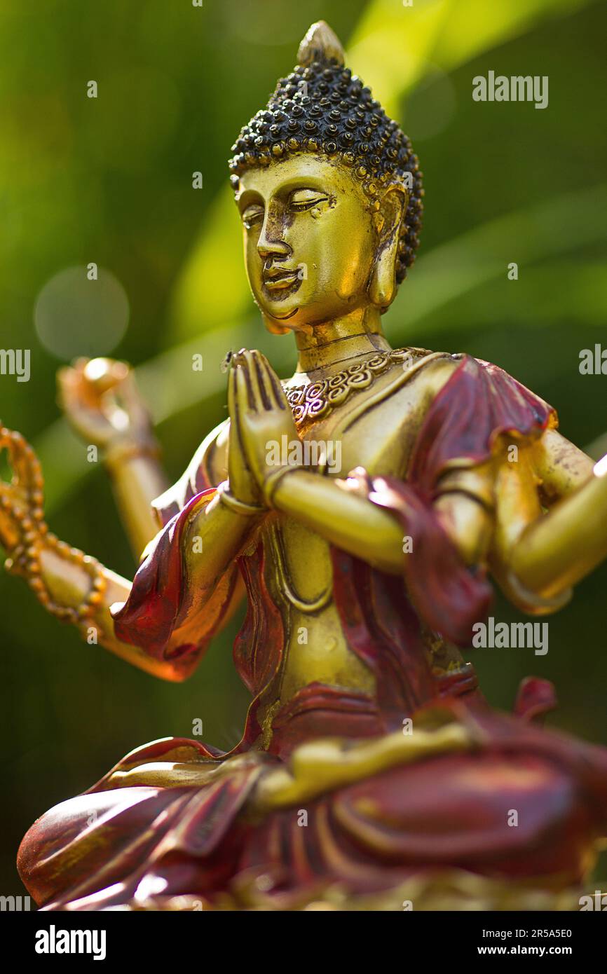 Faith and nature hi-res stock photography and images - Alamy