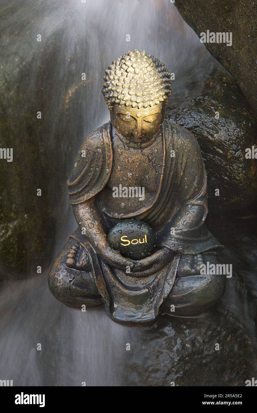 buddha statue in a waterfall, in the hands a stone lettering SOUL Stock ...