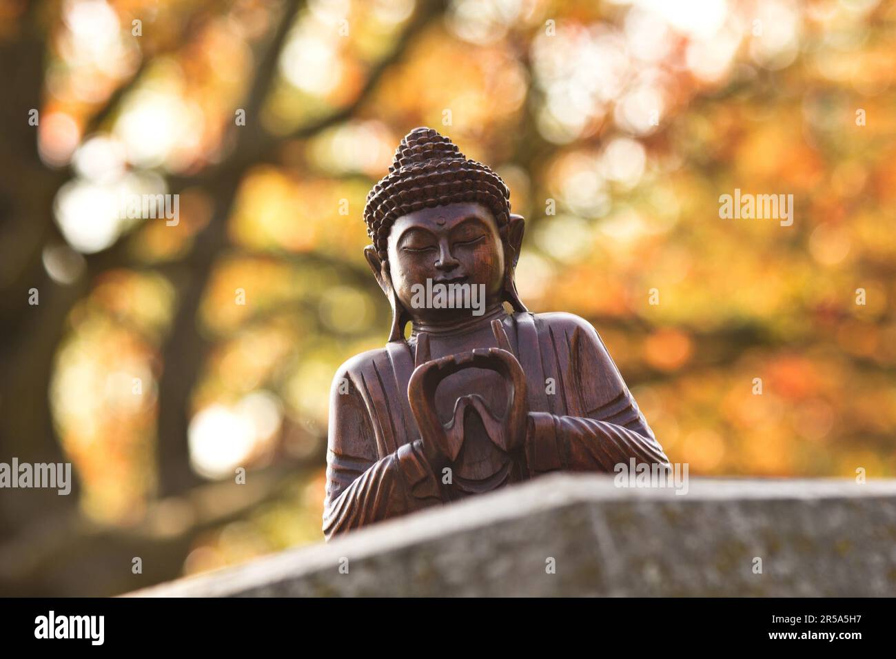 buddha statue under an autumn tree Stock Photo - Alamy