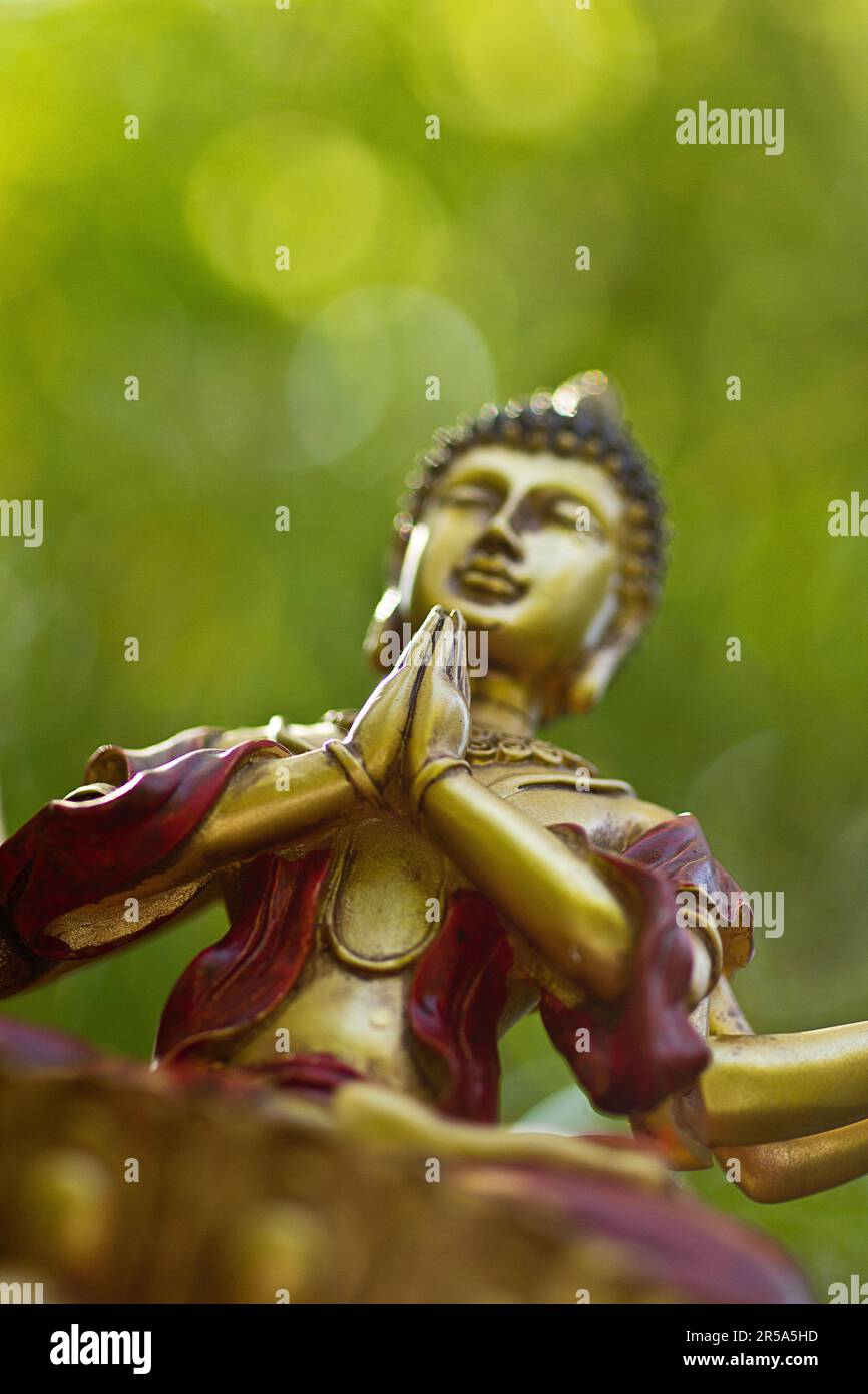 Figure in nature hi-res stock photography and images - Alamy