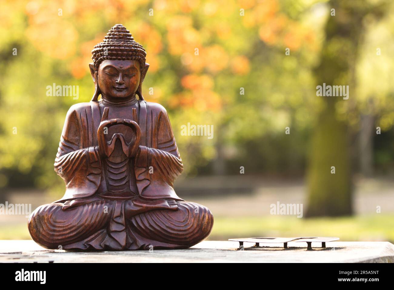 buddha statue under an autumn tree Stock Photo - Alamy
