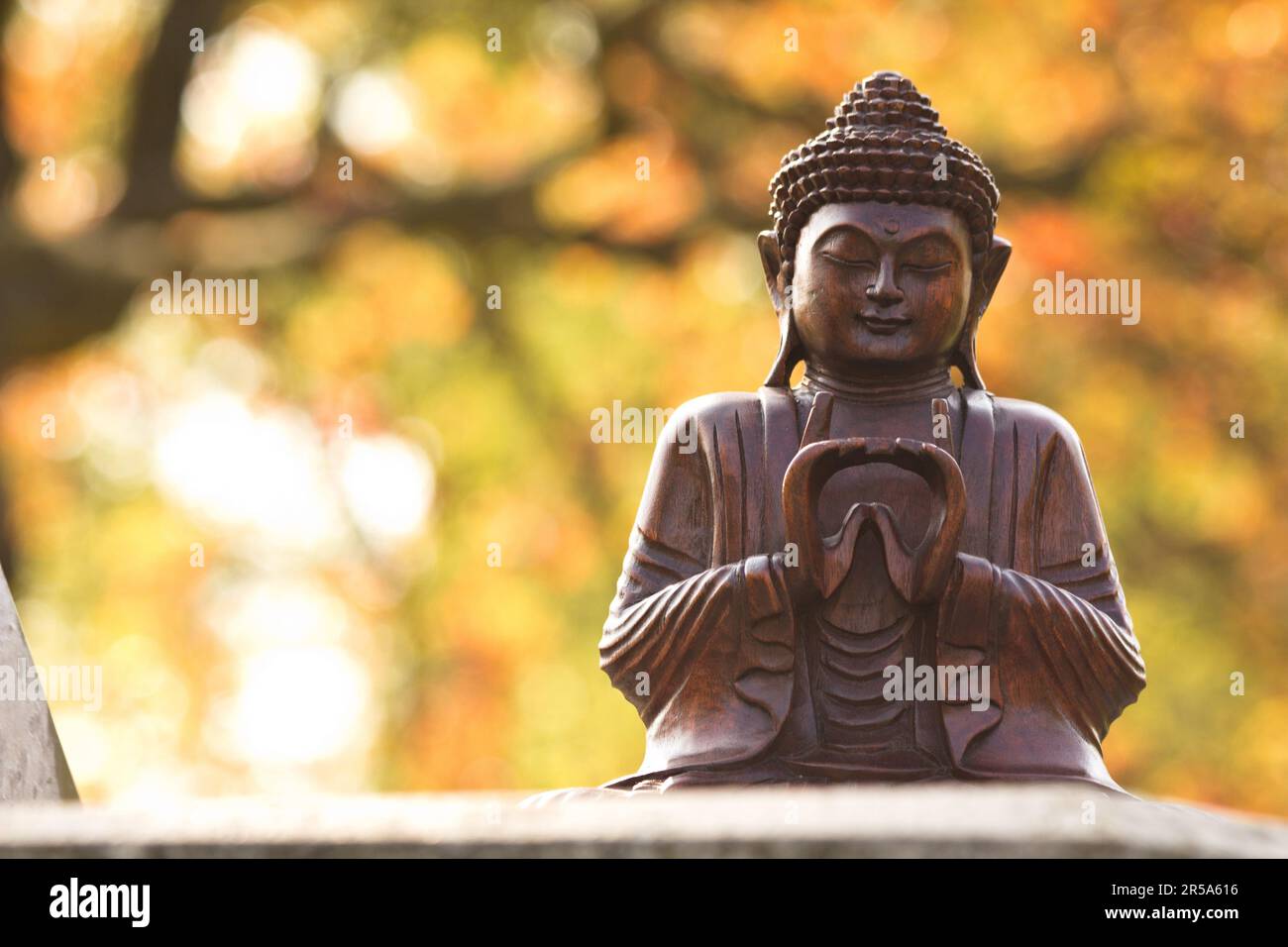 Meditating buddha statue under tree hi-res stock photography and images ...
