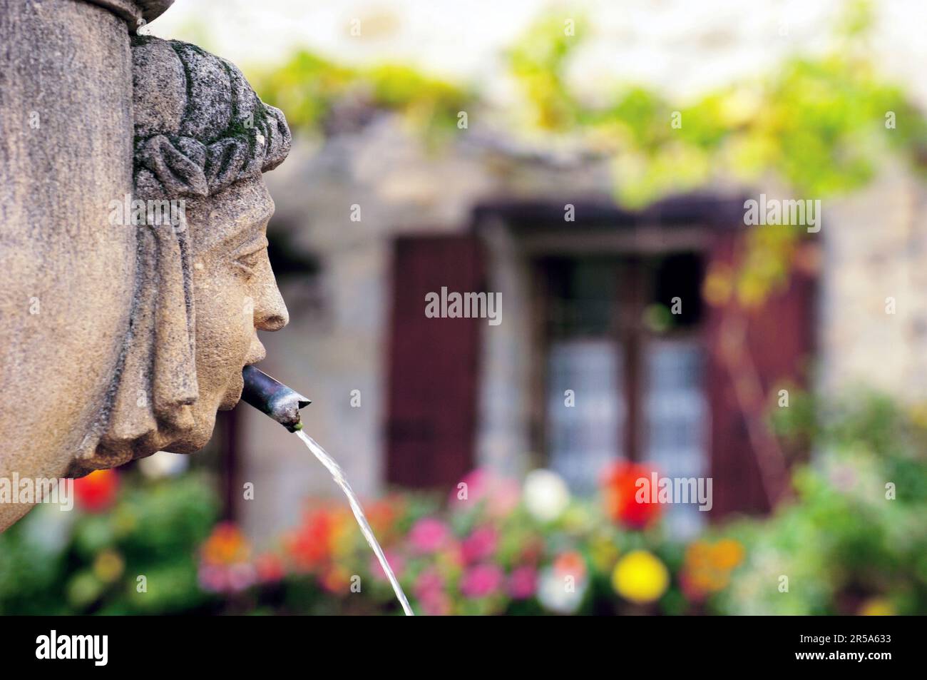 gargoyle at a fountain in the old town, side view, France, Provence ...