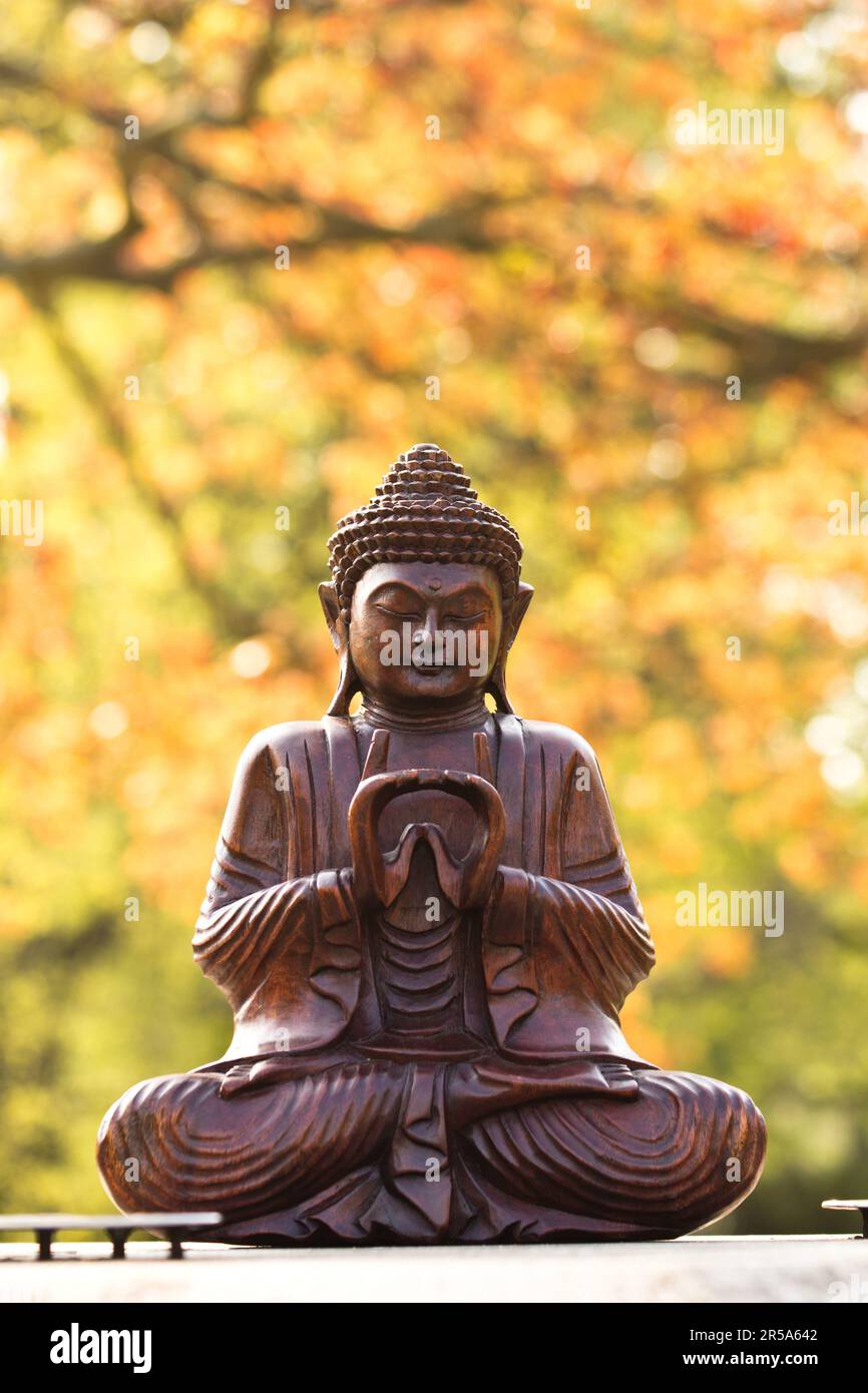 buddha statue under an autumn tree Stock Photo - Alamy
