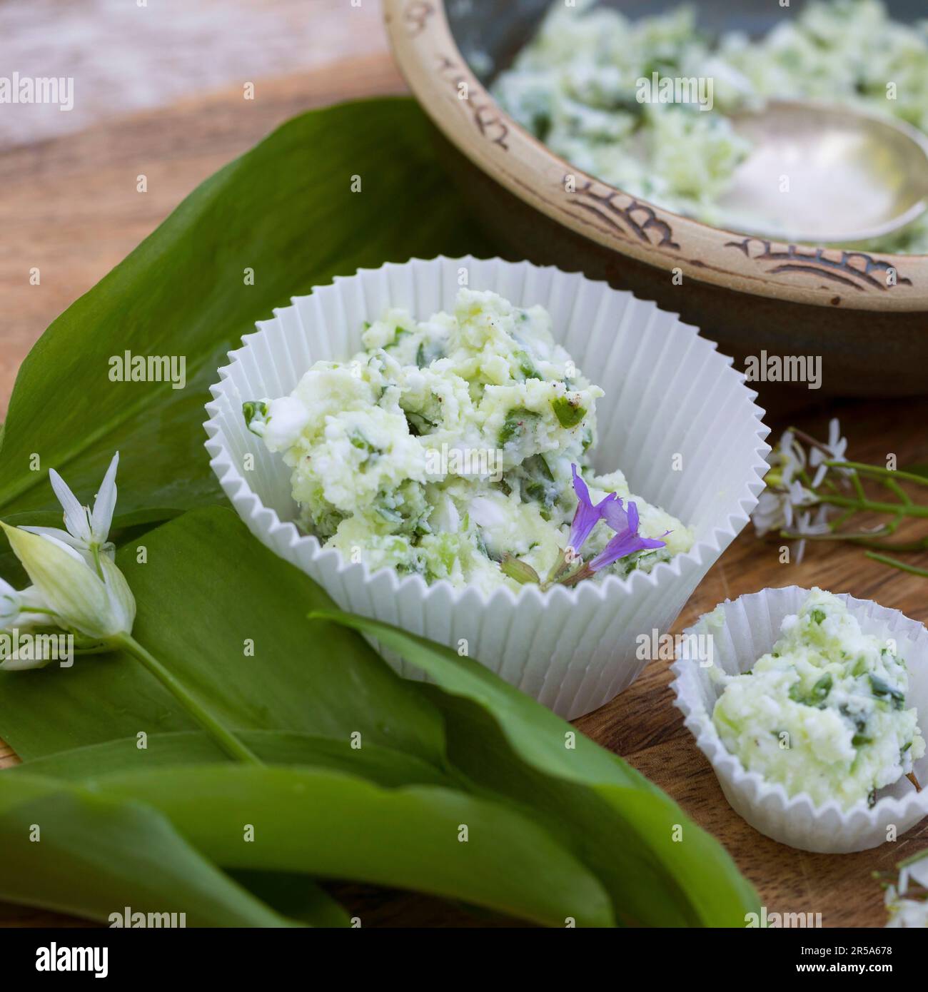 ramson, buckrams, wild garlic, broad-leaved garlic, wood garlic, bear ...