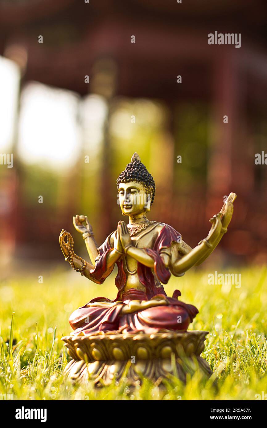 Statue buddha sits outside hi-res stock photography and images - Alamy