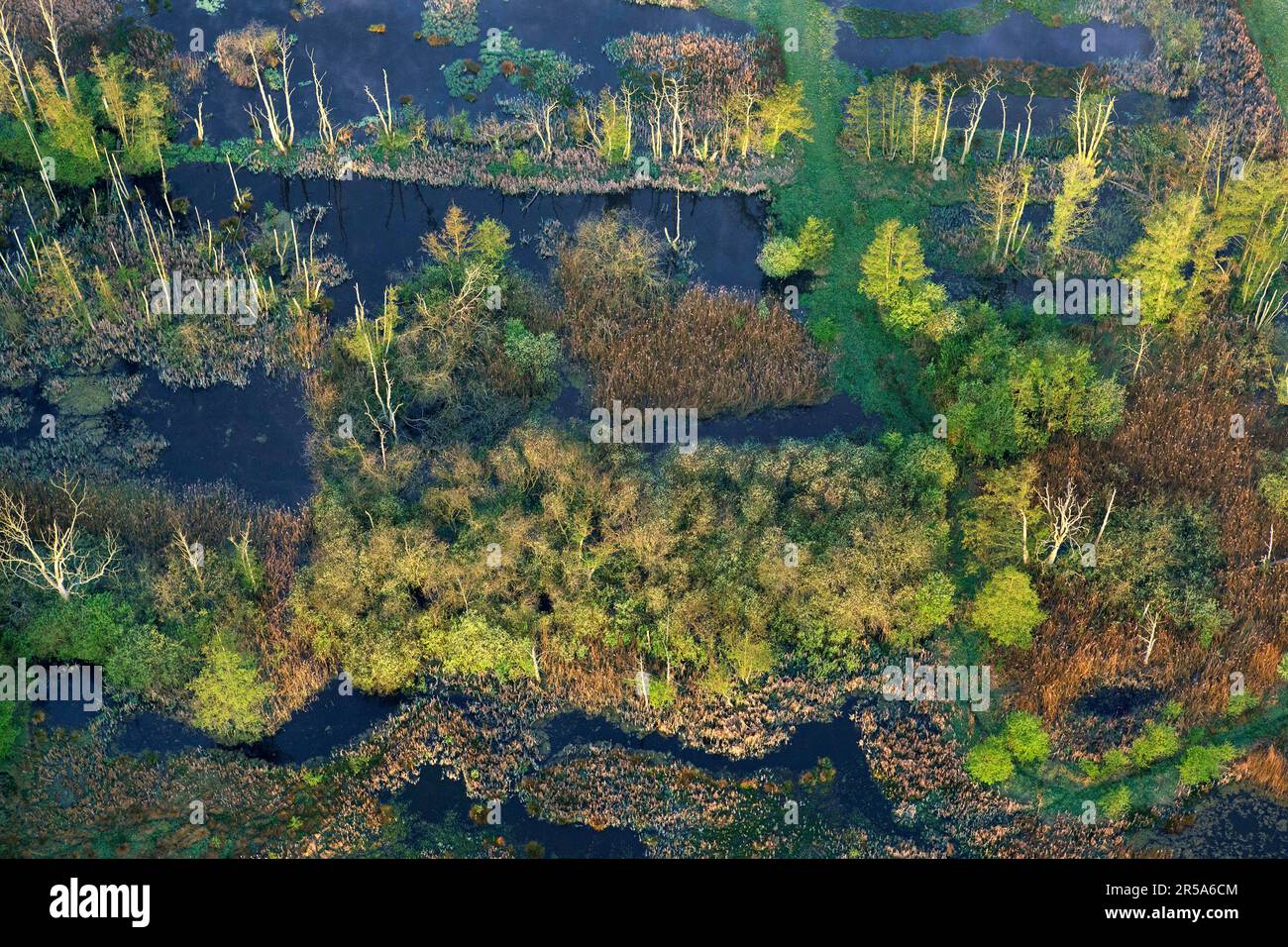 aerial view of wetland area Vallei van de Grote Nete, Belgium ...