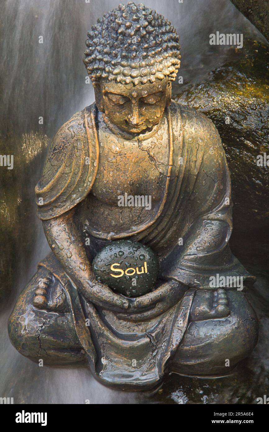 buddha statue in a waterfall, in the hands a stone lettering SOUL Stock ...
