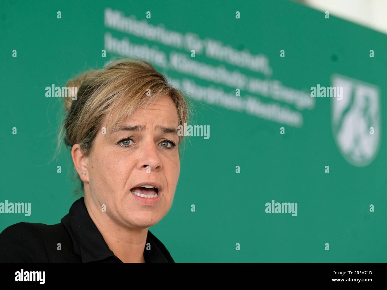 Neubaur hi-res stock photography and images - Alamy