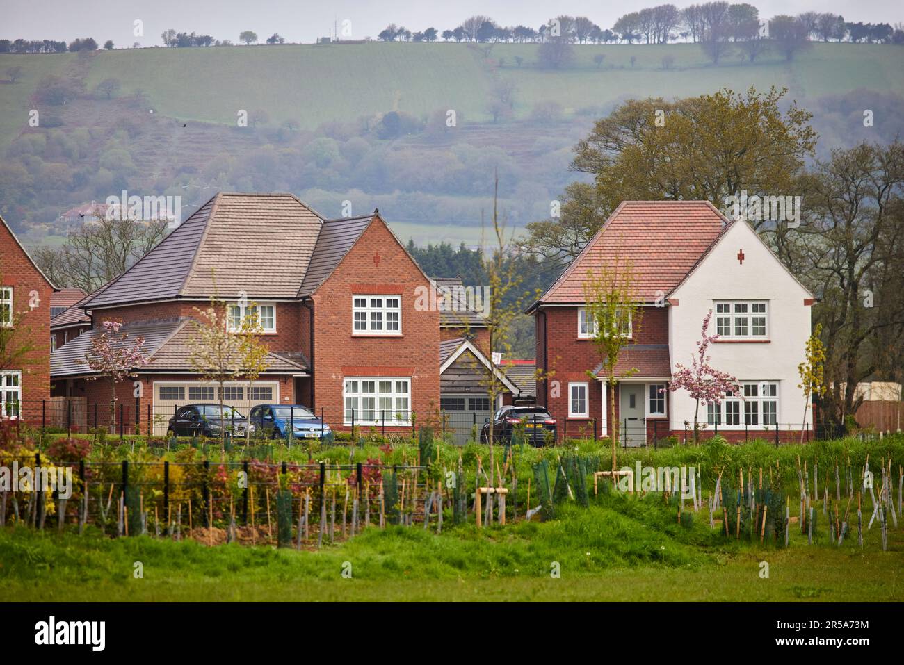 Redrow homes at Plas Ty Draw, Cardiff in Wales Stock Photo - Alamy
