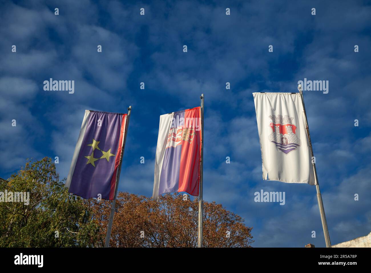 Picture of the Pancevo coat of arms on their official flag. Pancevo is ...