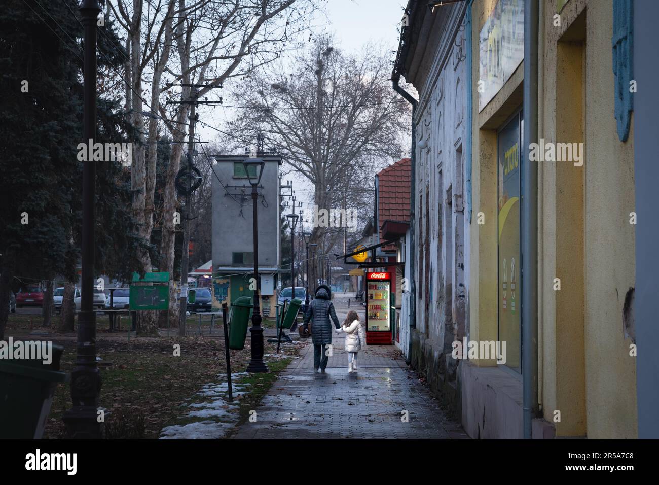 Picture of a typical rural village street of Bavaniste, in Vojvodina ...