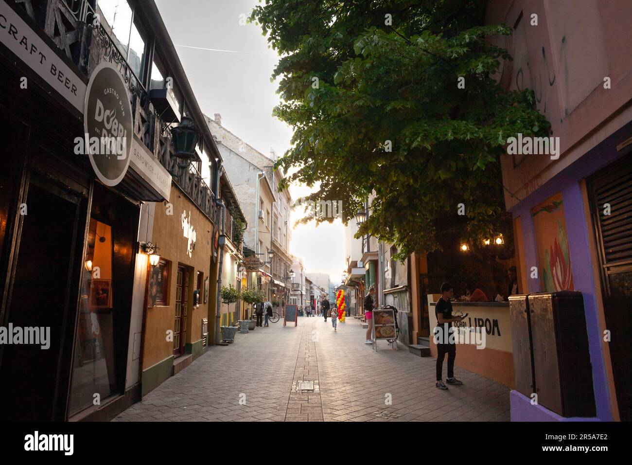 Picture of people passing by the pedestrian street of Laze Teleckog ...