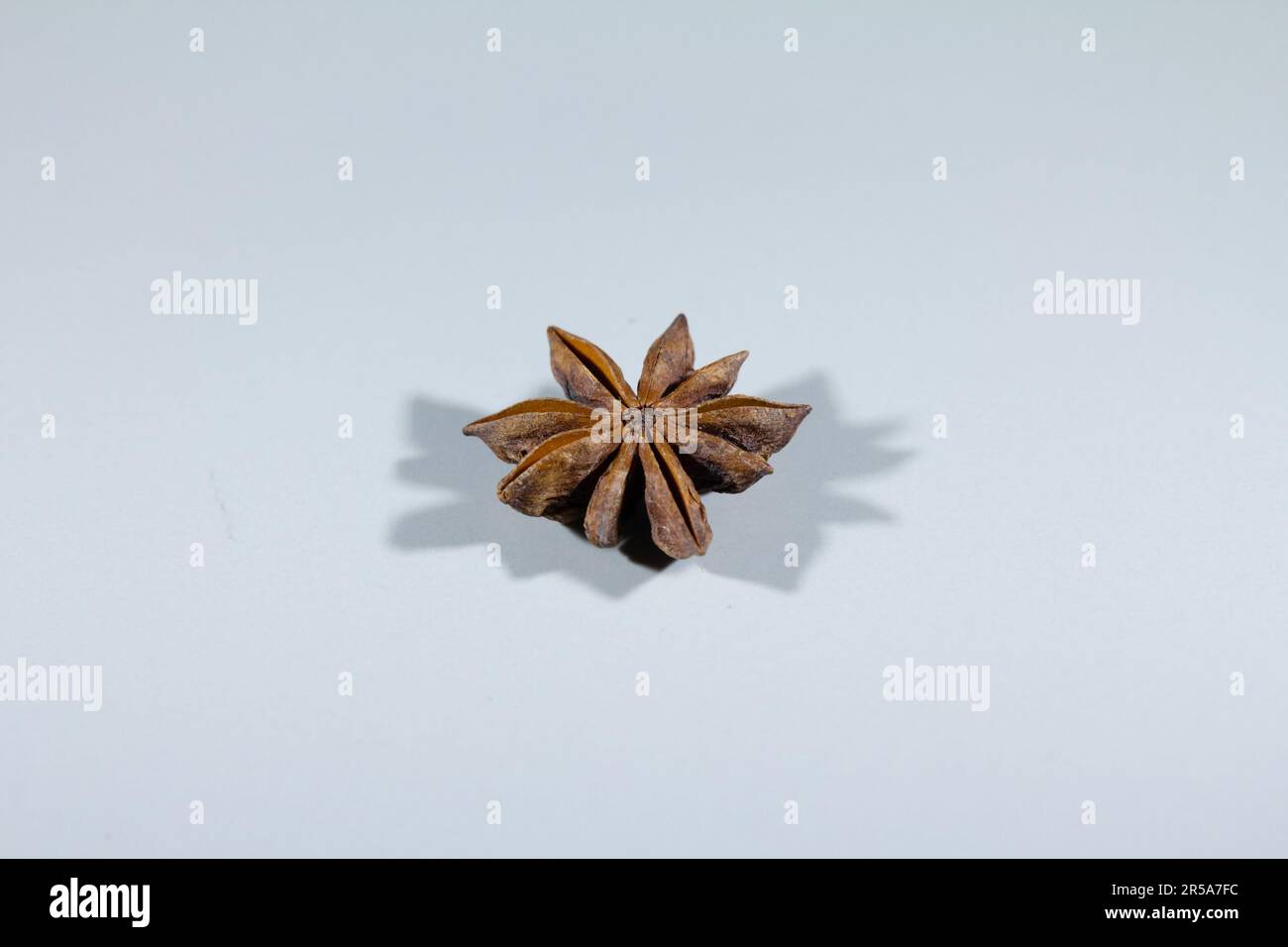 Picture of a star anise on a grey white background. Anise, also called ...