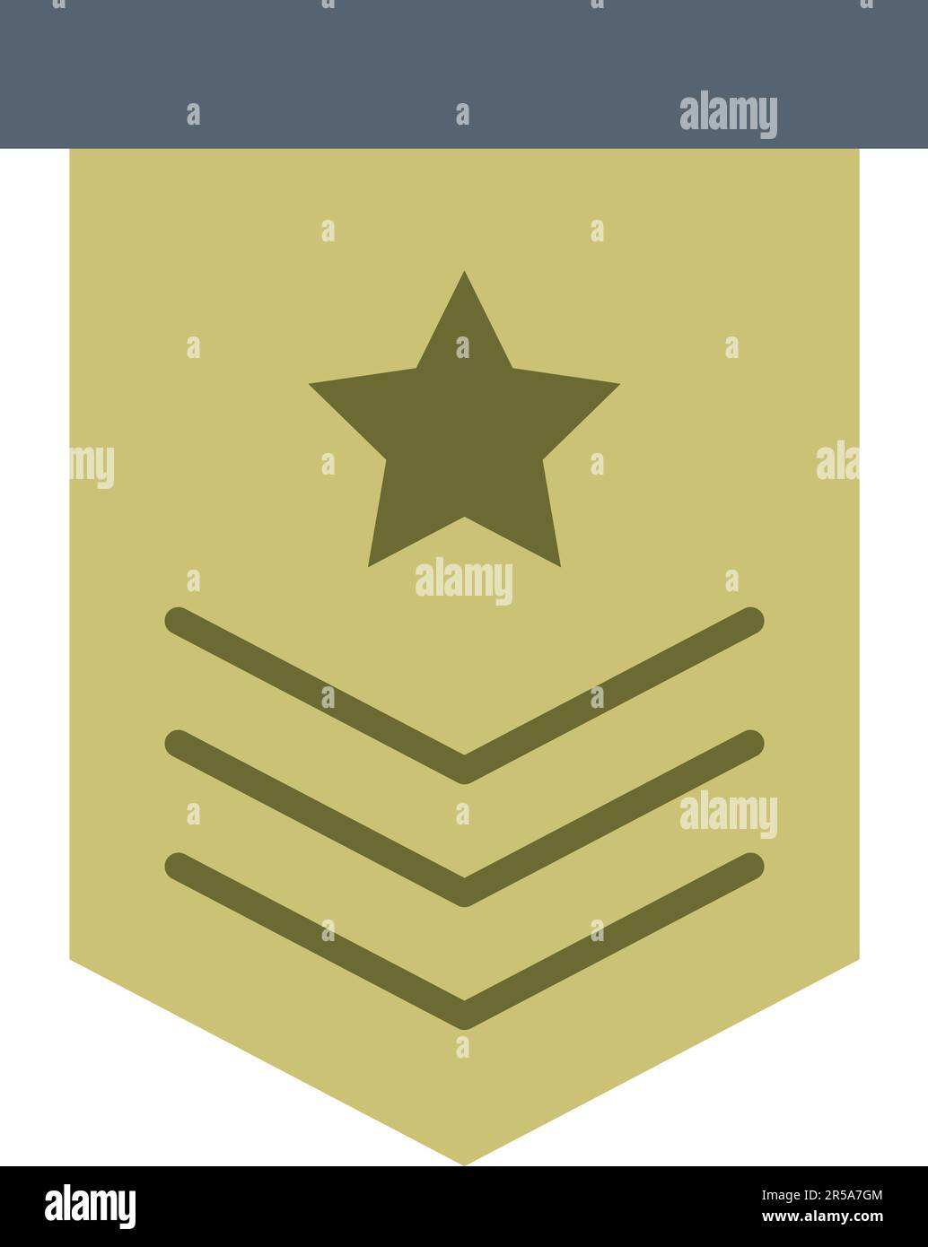 Military icon vector image Stock Vector Image & Art - Alamy
