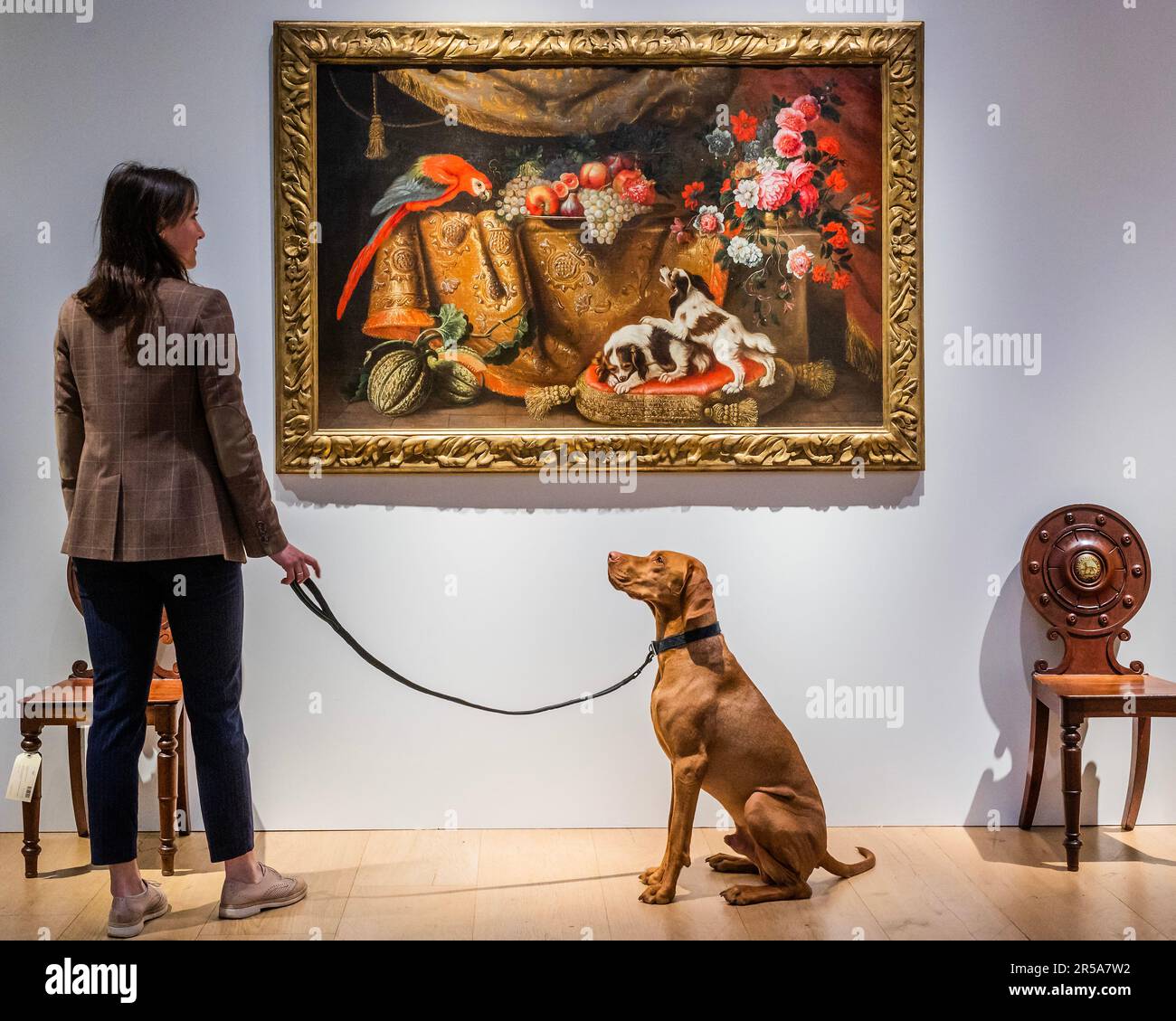 The robin and rupert hambro collection hi-res stock photography and ...