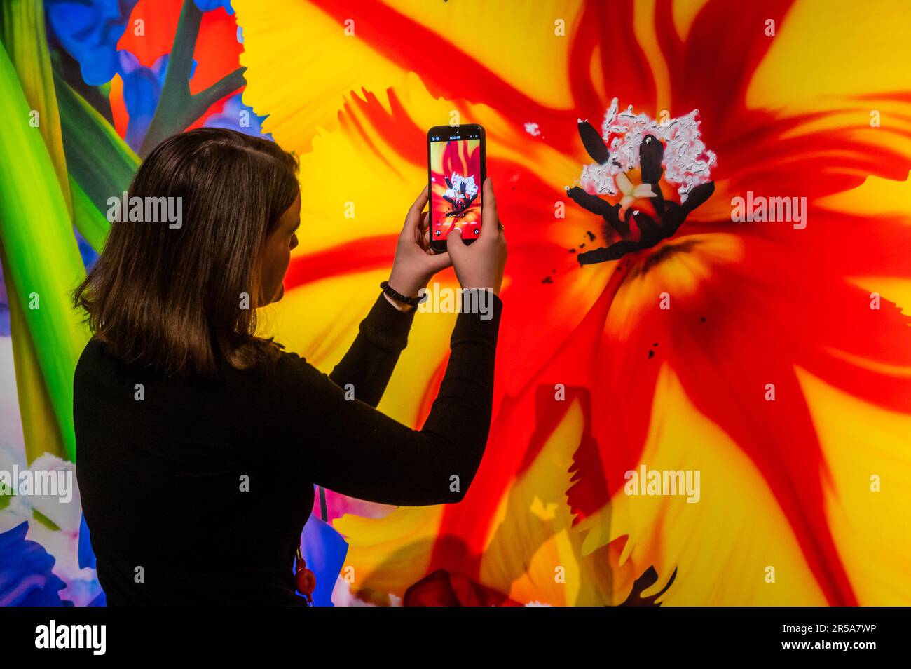 Robin and rupert hambro hi-res stock photography and images - Alamy