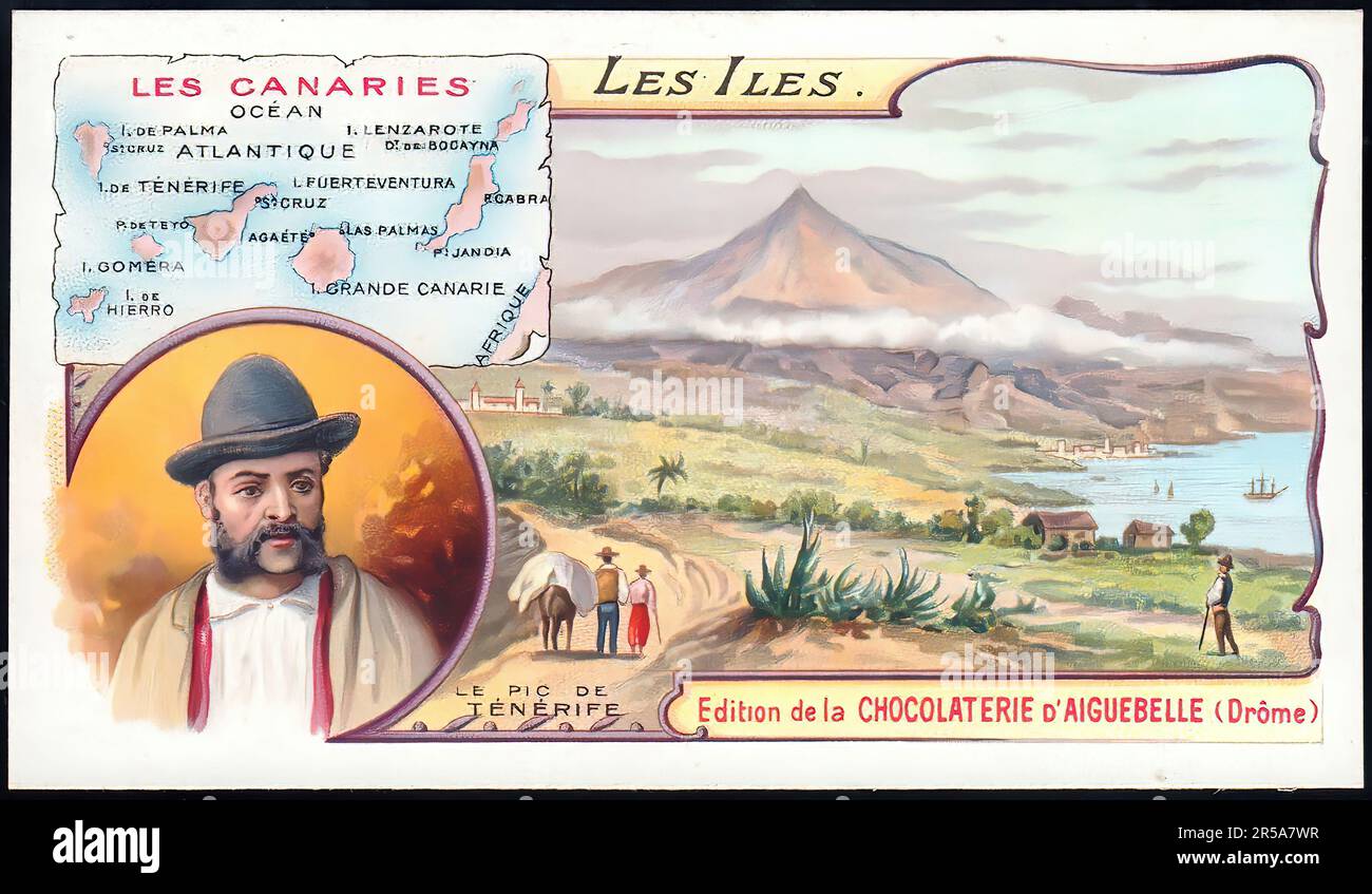 The Canaries - Vintage French Tradecard, Belle Epoque Era Stock Photo ...