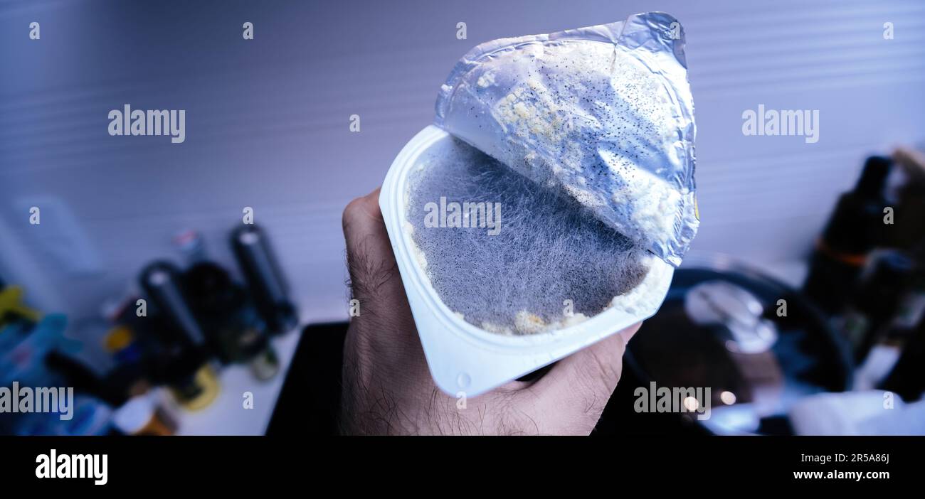 A hand is grasping a plastic recipient holding moldy yogurt. The ...