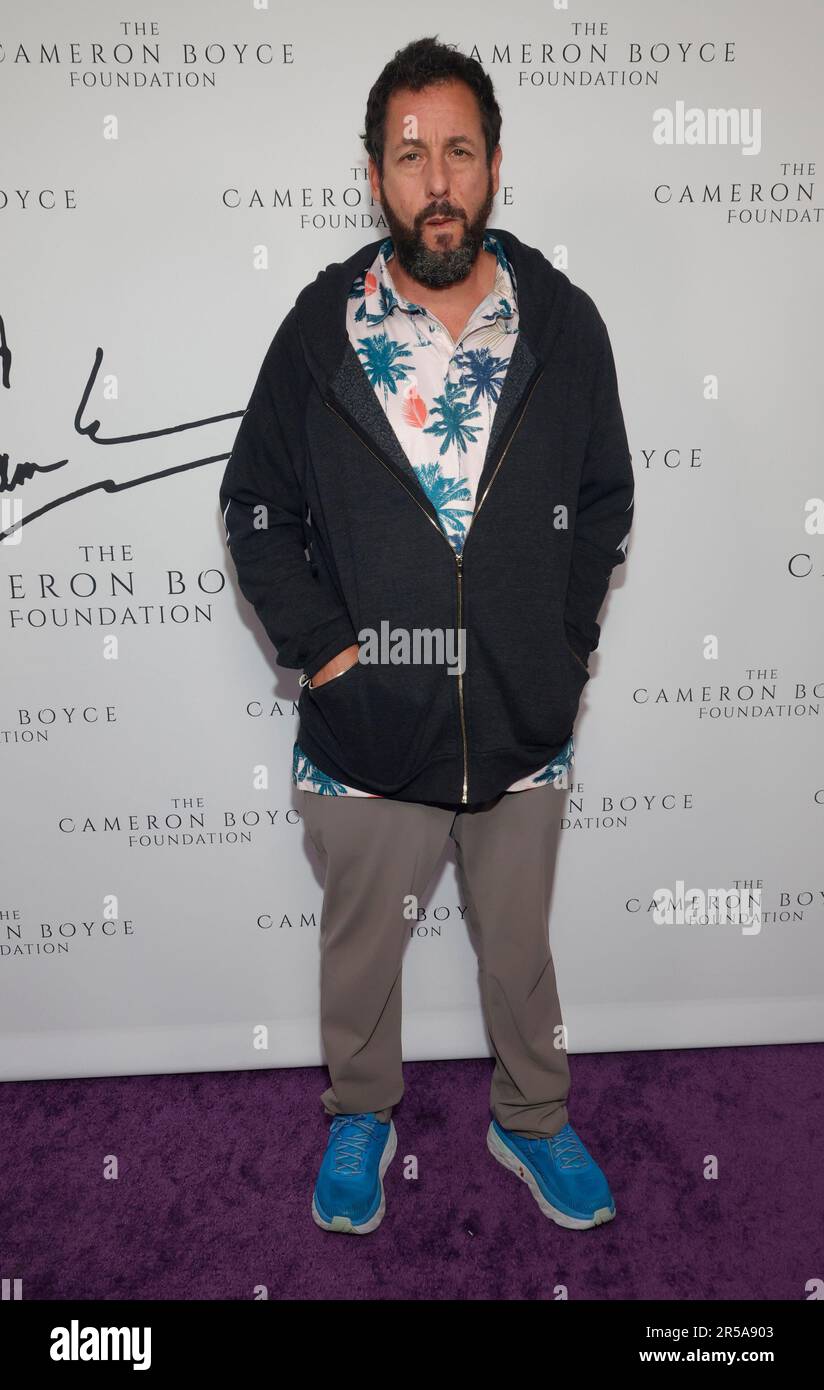 Cameron Boyce And Adam Sandler