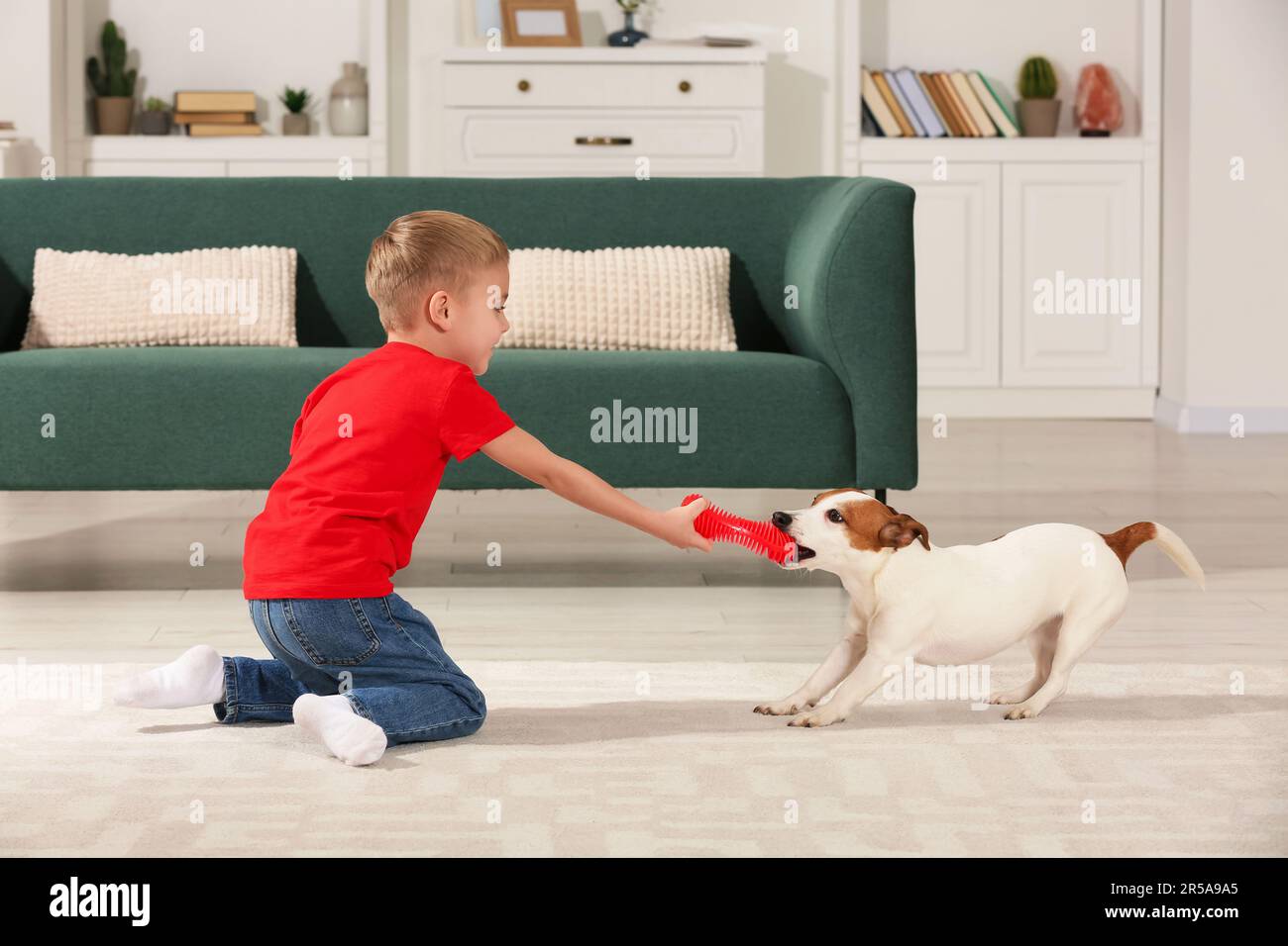 Little boy playing with his cute dog at home. Adorable pet Stock Photo ...