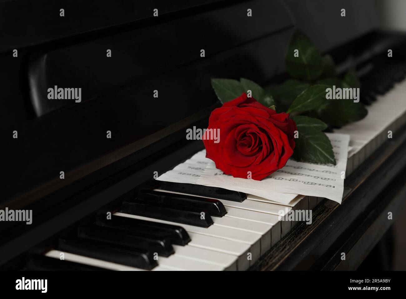 Beautiful red rose and musical notes on piano keys Stock Photo - Alamy