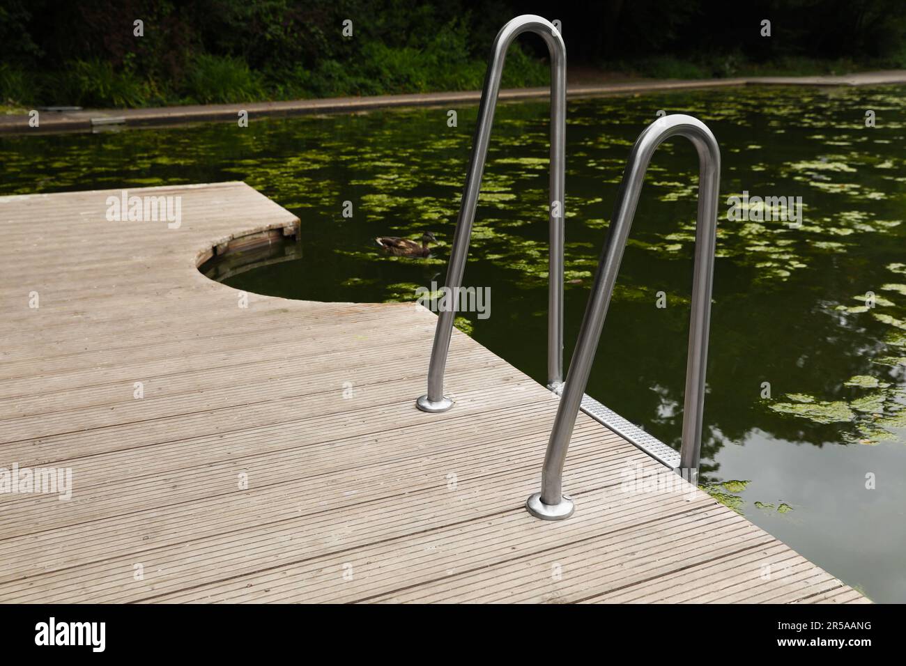 Wooden pier and pond with ladder in park Stock Photo - Alamy