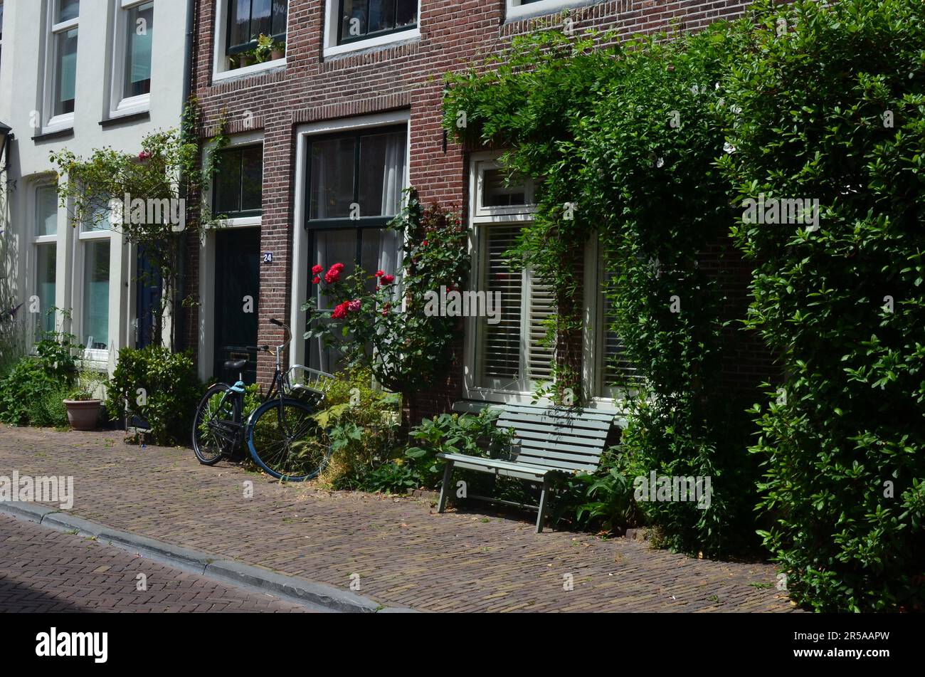City street with beautiful buildings, bench and blooming plants Stock ...