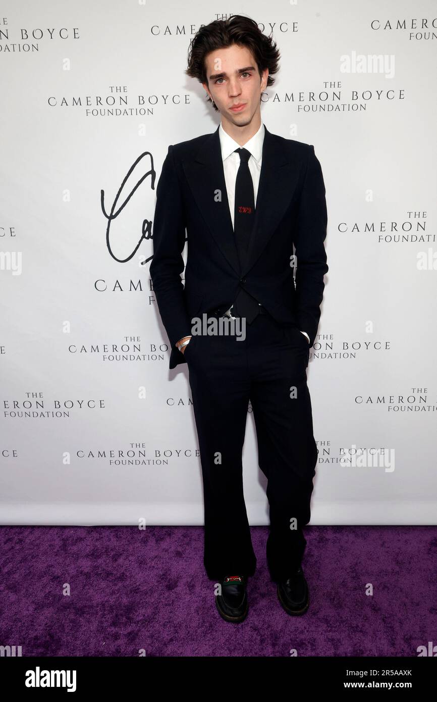 Los Angeles, Ca. 1st June, 2023. Seth Lee at The Cameron Boyce ...