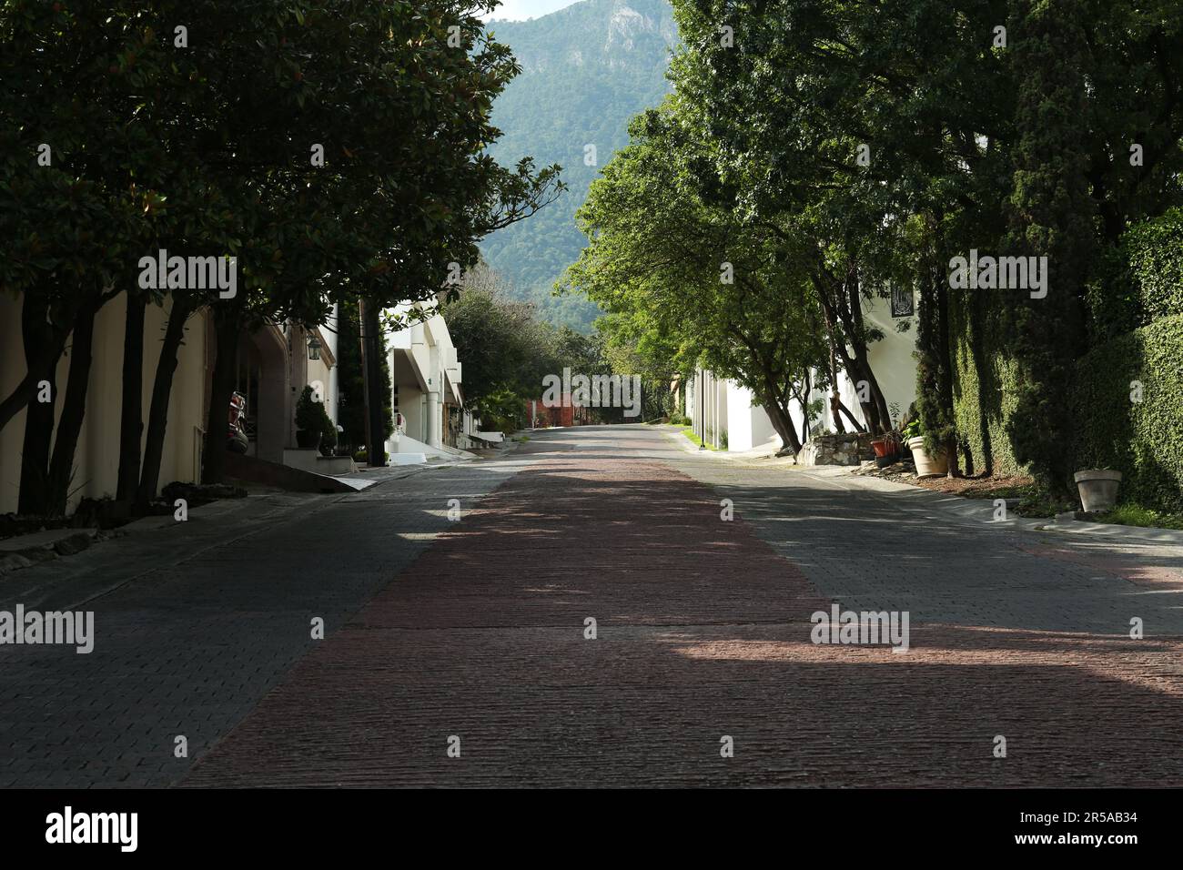 View of city street with road and lush trees Stock Photo - Alamy