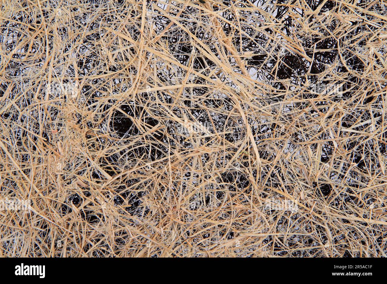 natural straw texture as very nice background Stock Photo - Alamy