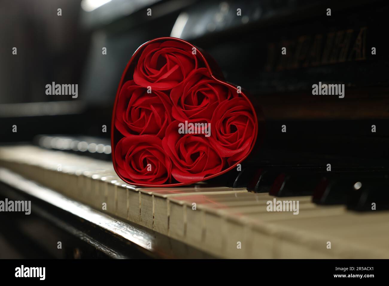Roses sound hi-res stock photography and images - Alamy