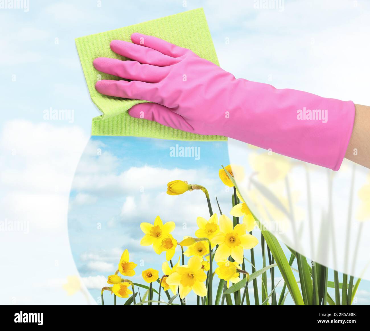 Spring cleaning. Woman washing window, closeup. View on flowers through ...