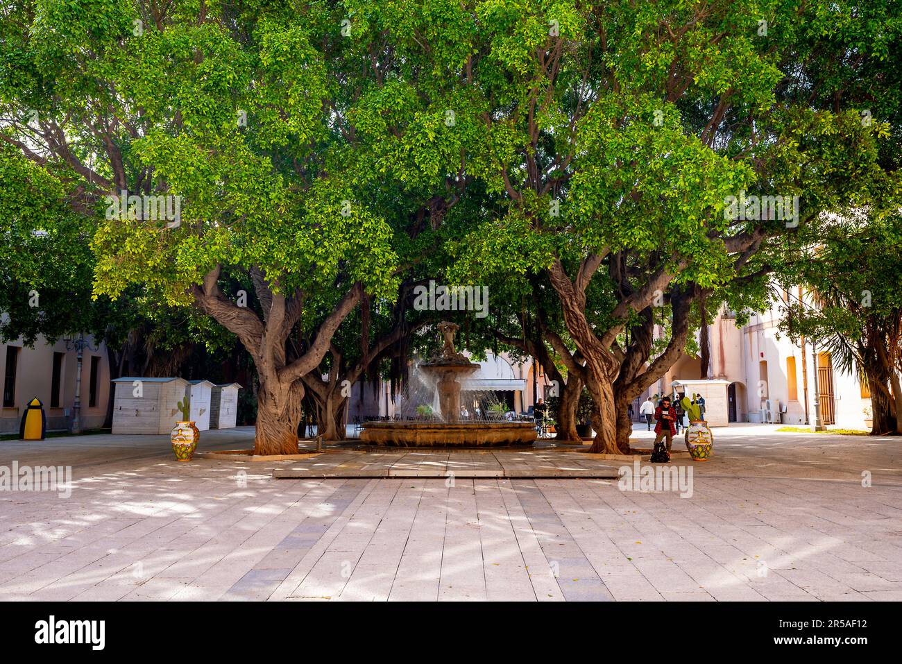 City park (Courtyard of the communal office) in Marsala Old town with ...