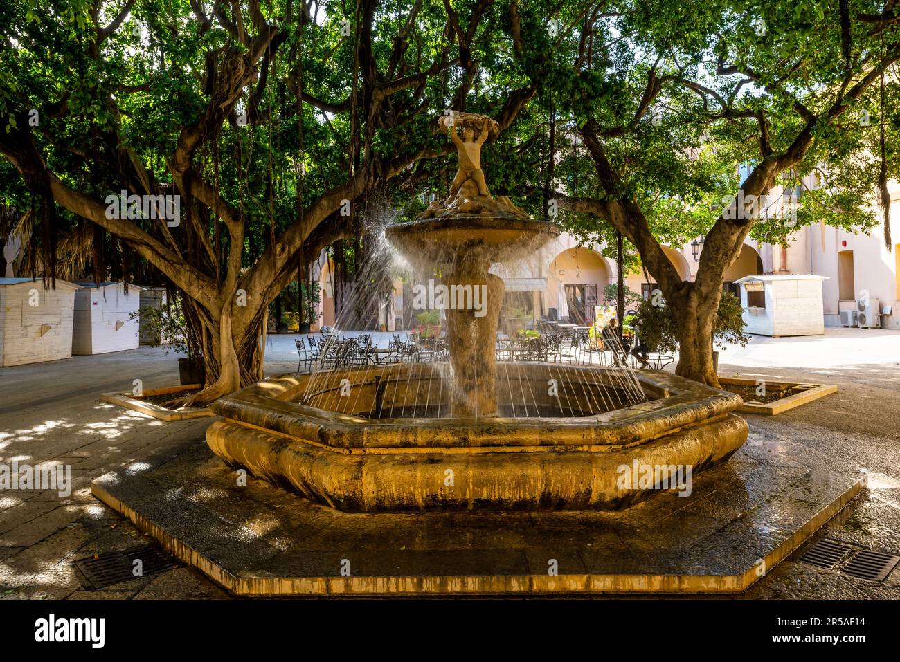 City park (Courtyard of the communal office) in Marsala Old town with ...