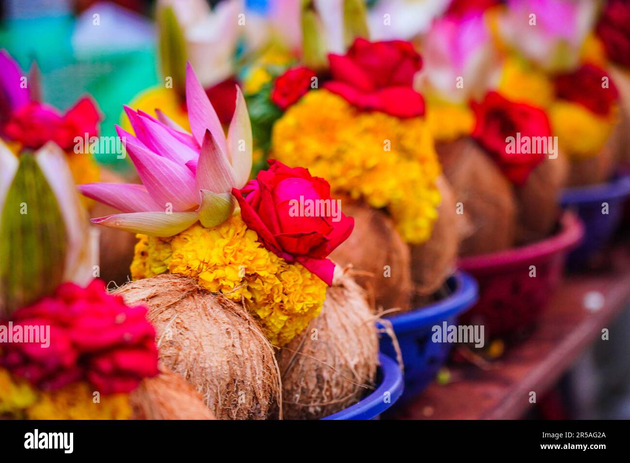 Pealed coconut hi-res stock photography and images - Alamy