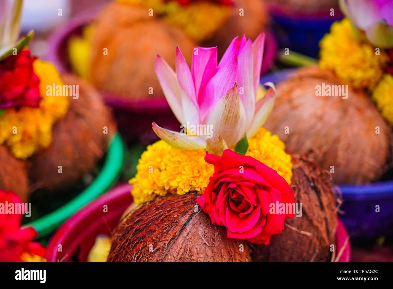 Pealed coconut hi-res stock photography and images - Alamy