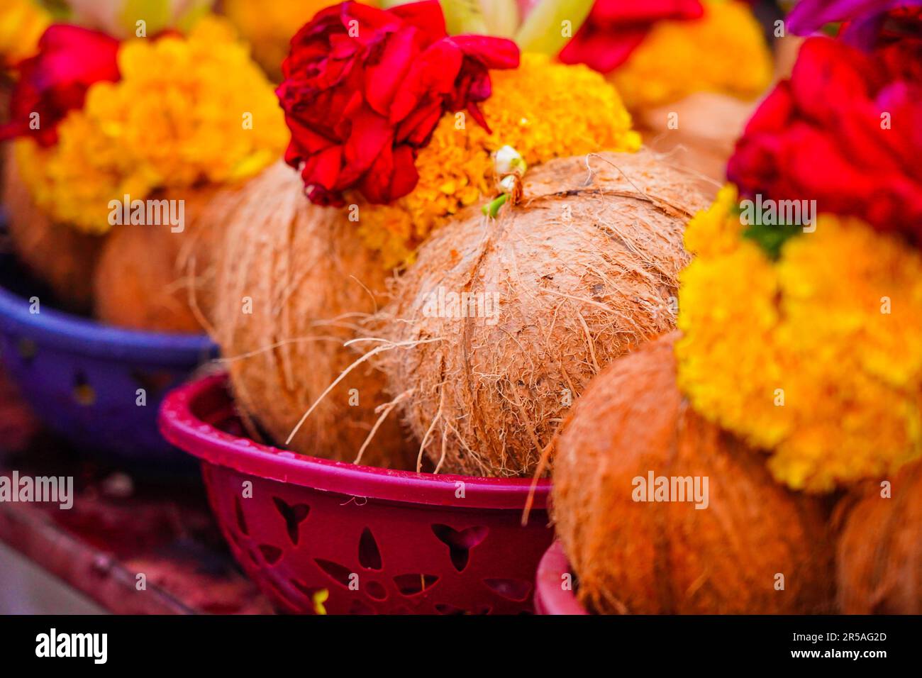 Pealed coconut hi-res stock photography and images - Alamy