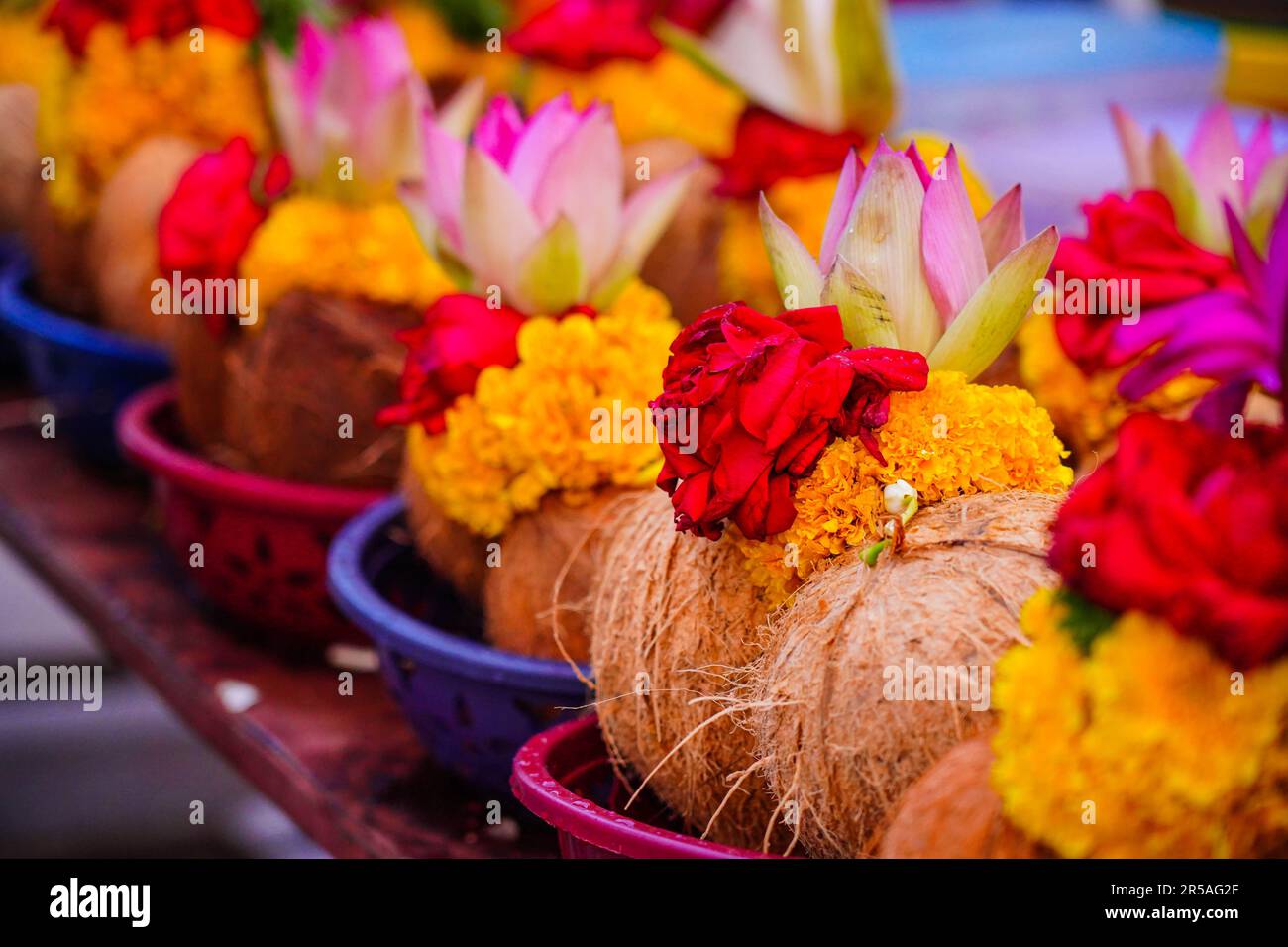 Pealed coconut hi-res stock photography and images - Alamy