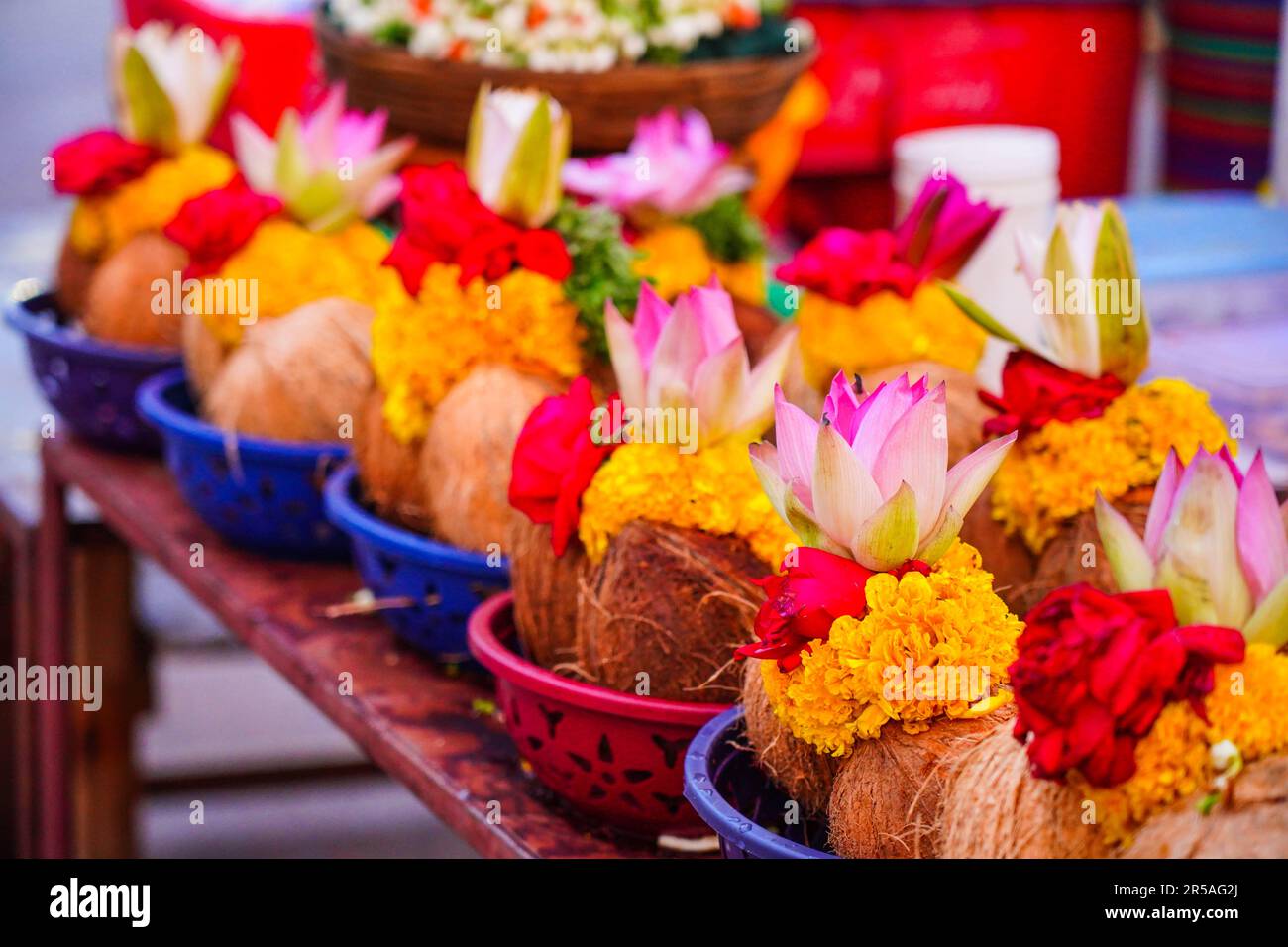 Pealed coconut hi-res stock photography and images - Alamy